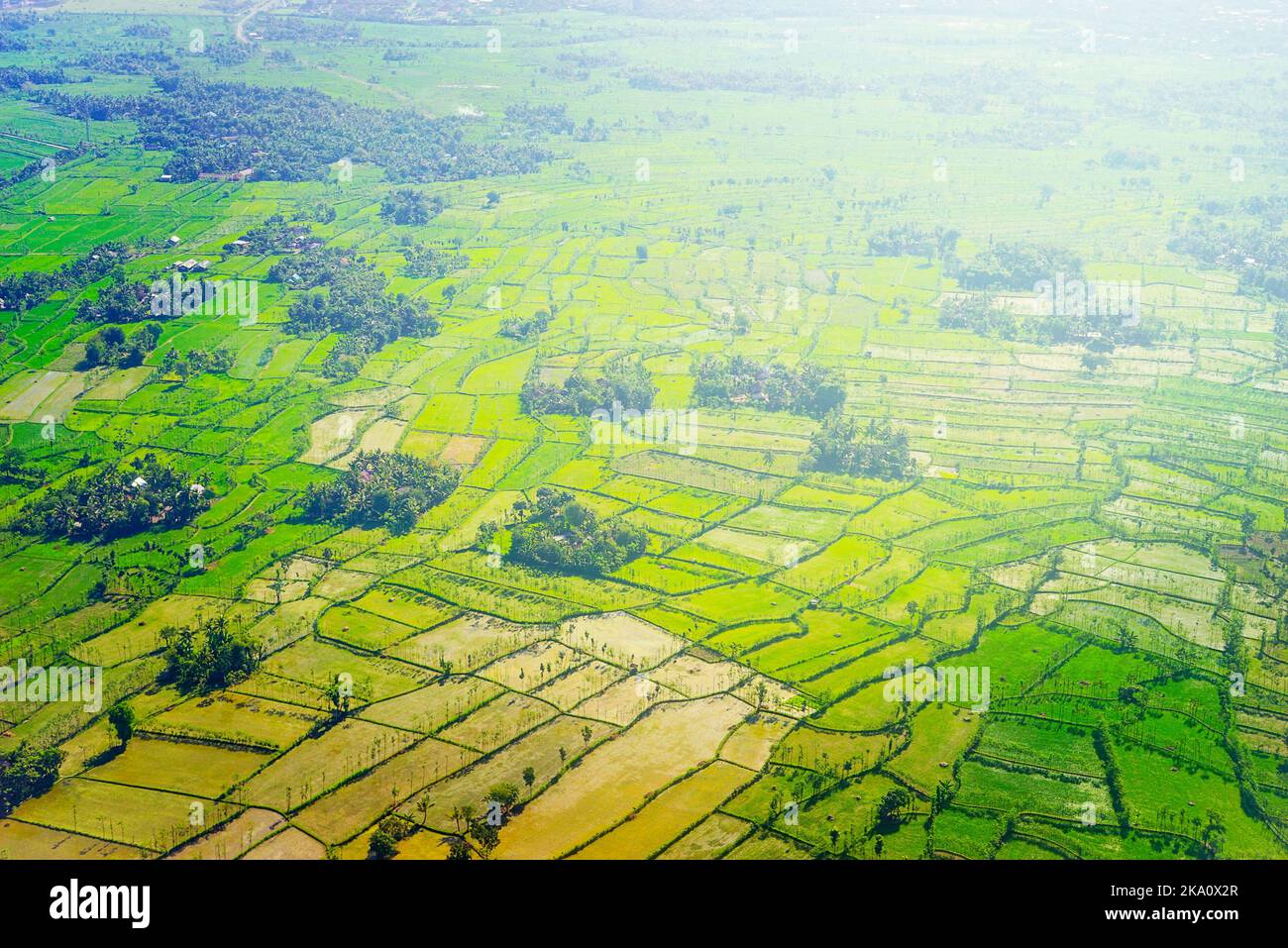 Aerial view of beautiful green paddy field at Lombok, Indonesia Stock ...