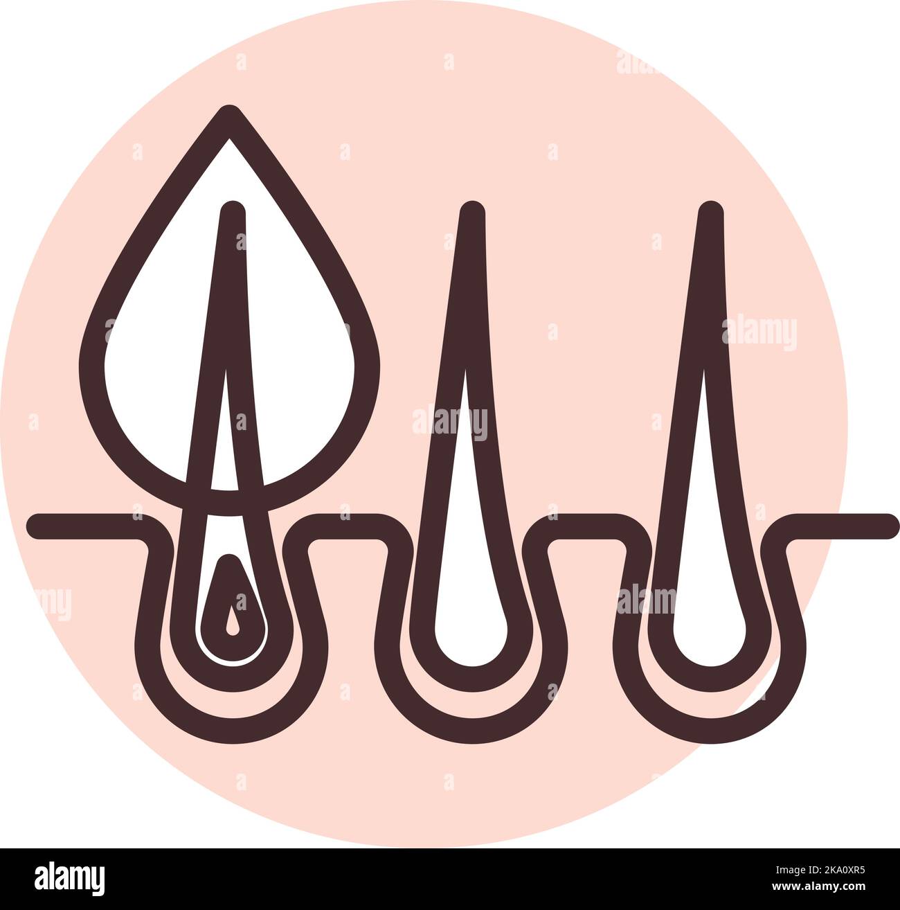 Cosmetics hair on white Stock Vector Images - Alamy