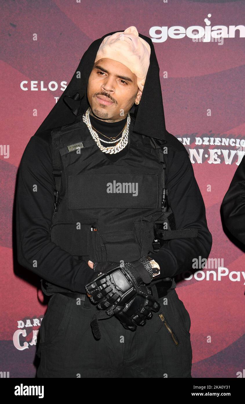 LOS ANGELES, CA - OCTOBER 29: Chris Brown attends the Darren Dzienciol ...