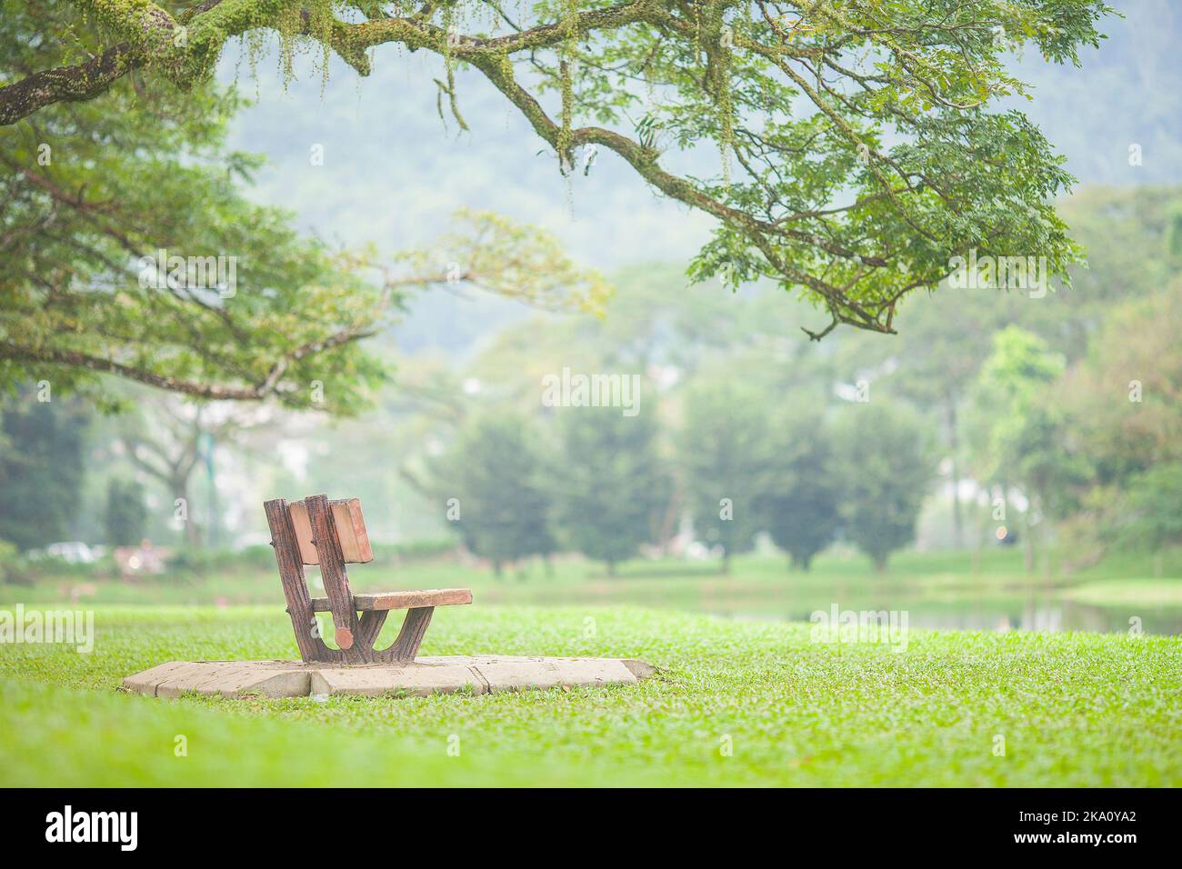 Lonely chair near lake and nature background Stock Photo - Alamy