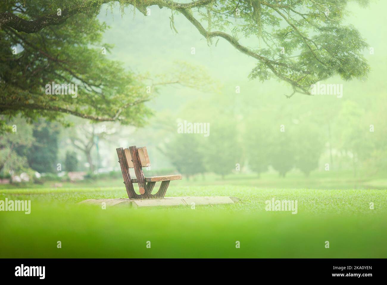Lonely chair near lake and nature background. Shallow DOF Stock Photo ...
