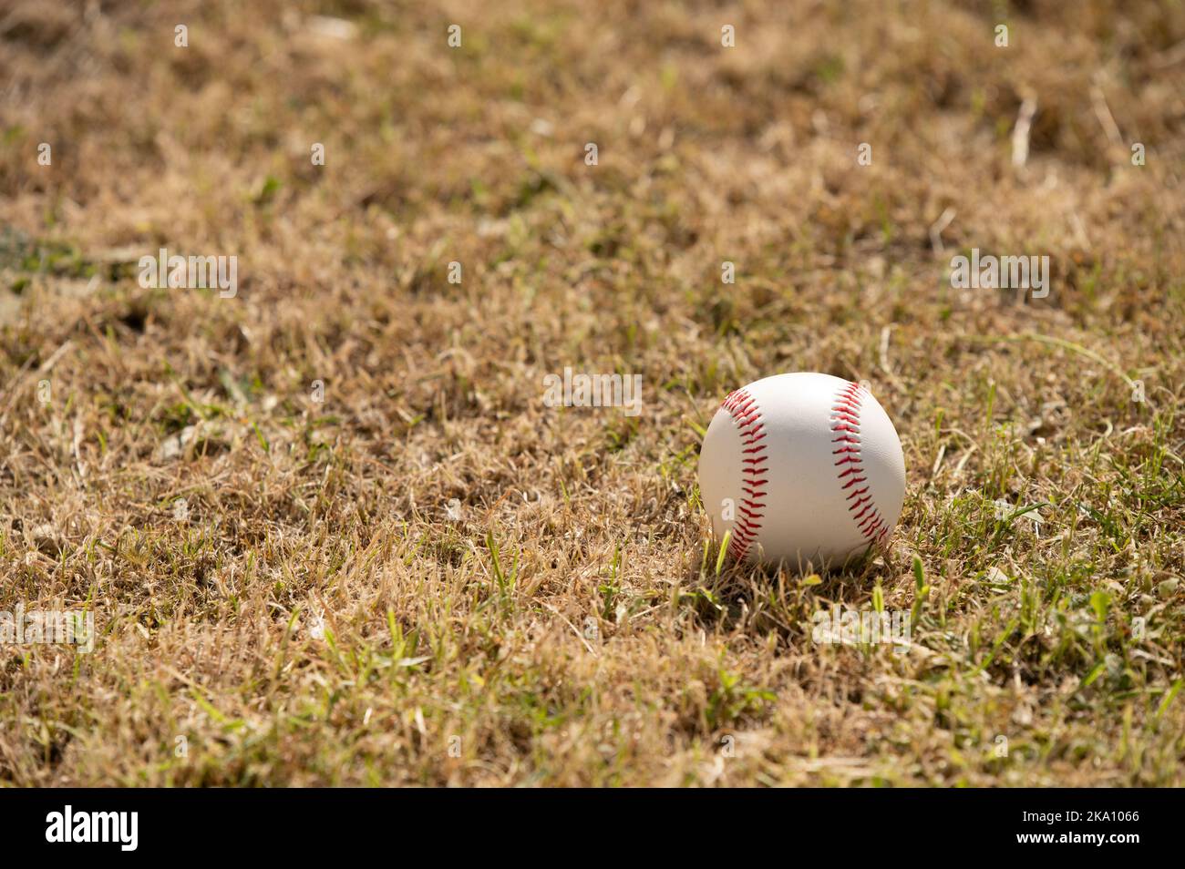 Baseball equipment on grass hi-res stock photography and images - Alamy