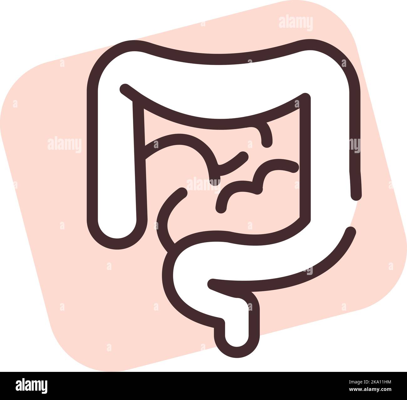 Human organ intestines, illustration or icon, vector on white ...