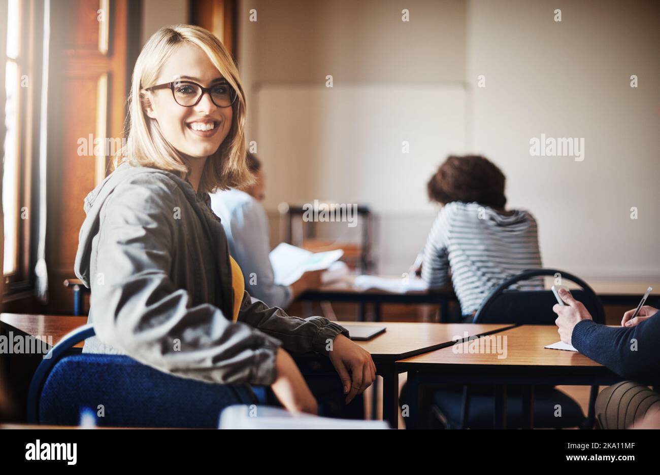 Working hard everyday for their future. university students in class ...