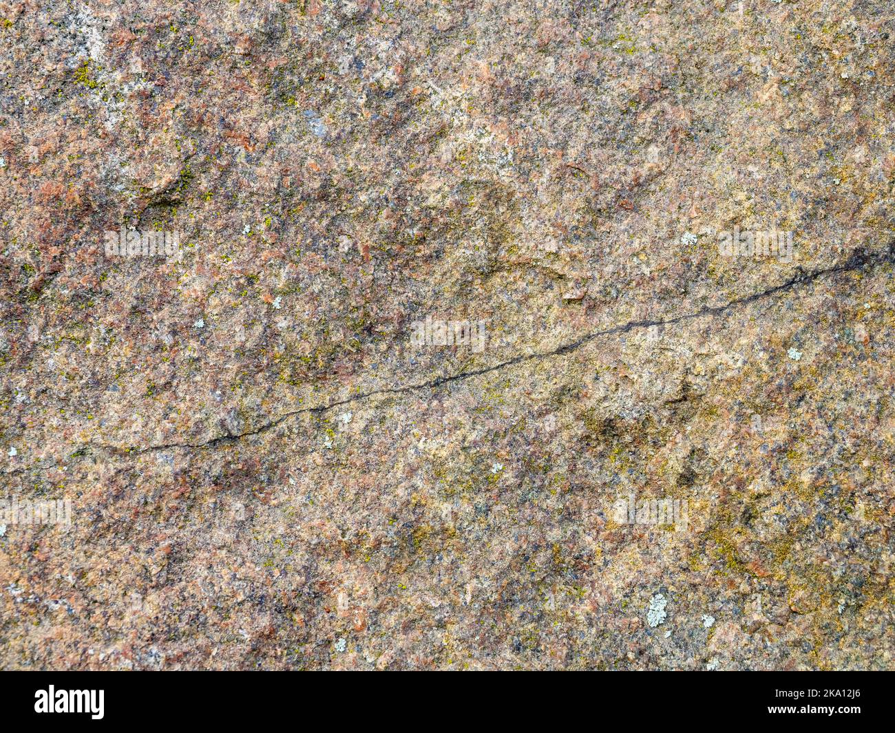 Pale gray design hi-res stock photography and images - Alamy