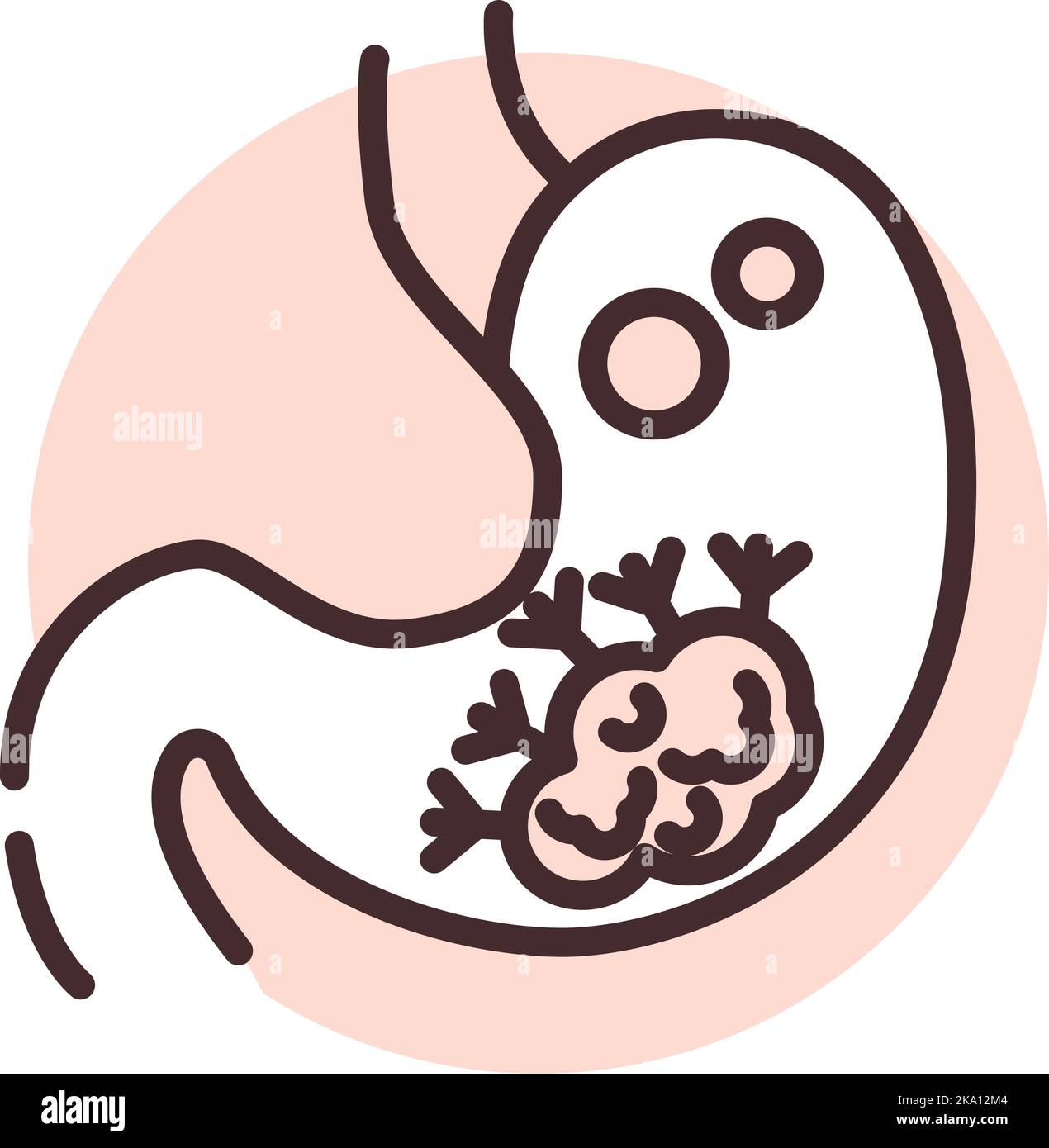 Medical stomach, illustration or icon, vector on white background Stock ...