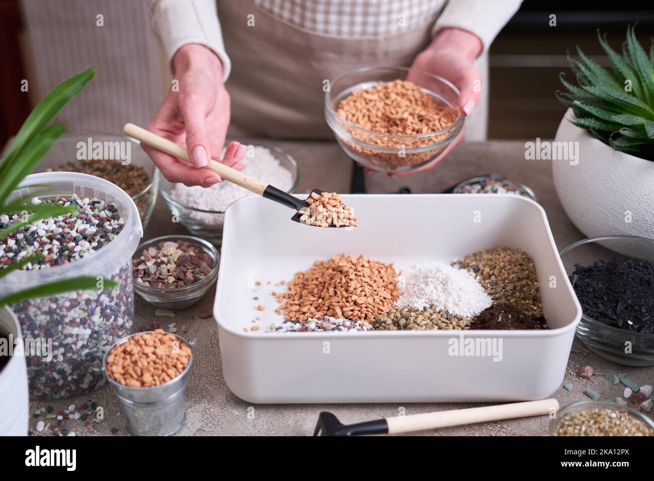 soil substrate preparation for transplanting houseplants on concrete ...