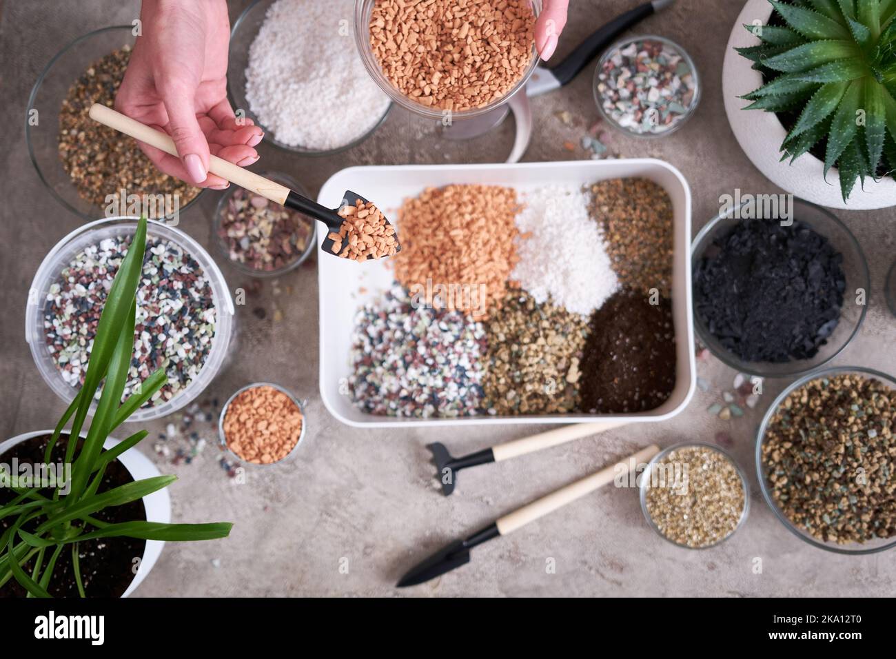 soil substrate preparation for transplanting houseplants on concrete ...