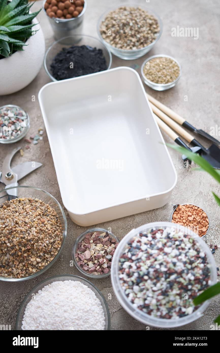 plastic box for soil substrate preparation for transplanting ...