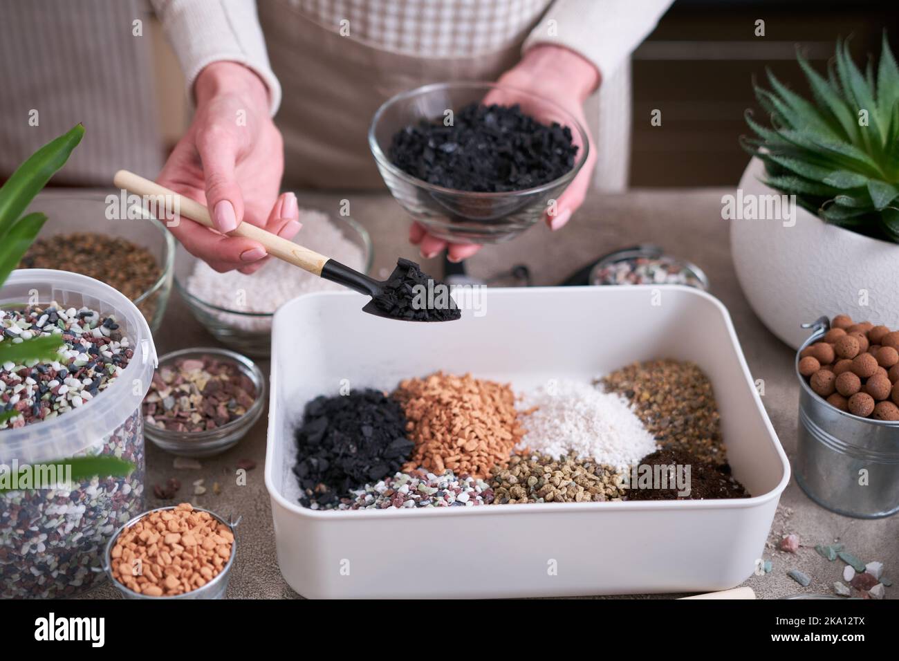 soil substrate preparation for transplanting houseplants on concrete ...