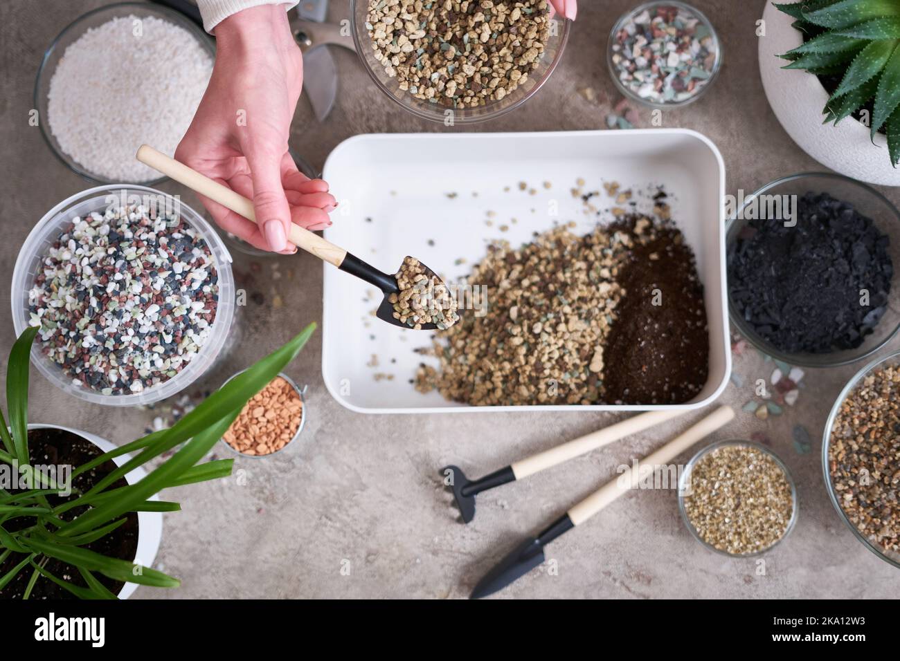 soil substrate preparation for transplanting houseplants on concrete ...