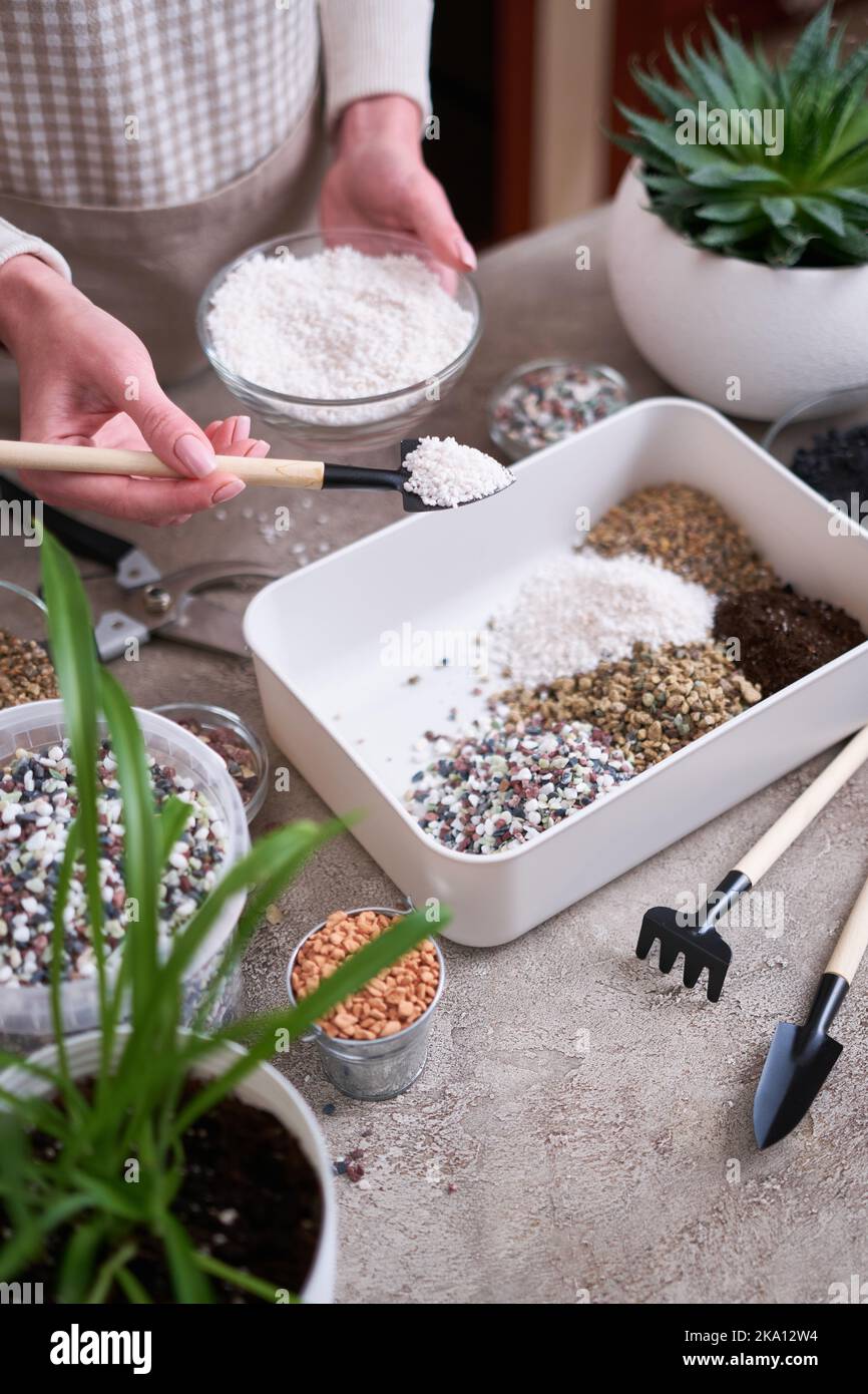 soil substrate preparation for transplanting houseplants on concrete ...