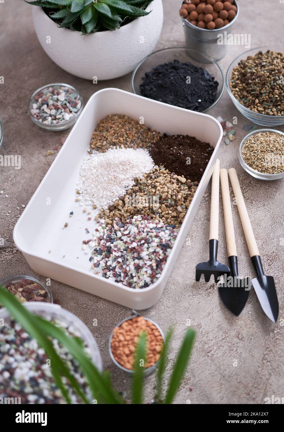 plastic box for soil substrate preparation for transplanting ...