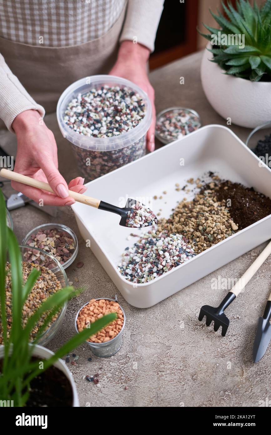 soil substrate preparation for transplanting houseplants on concrete ...