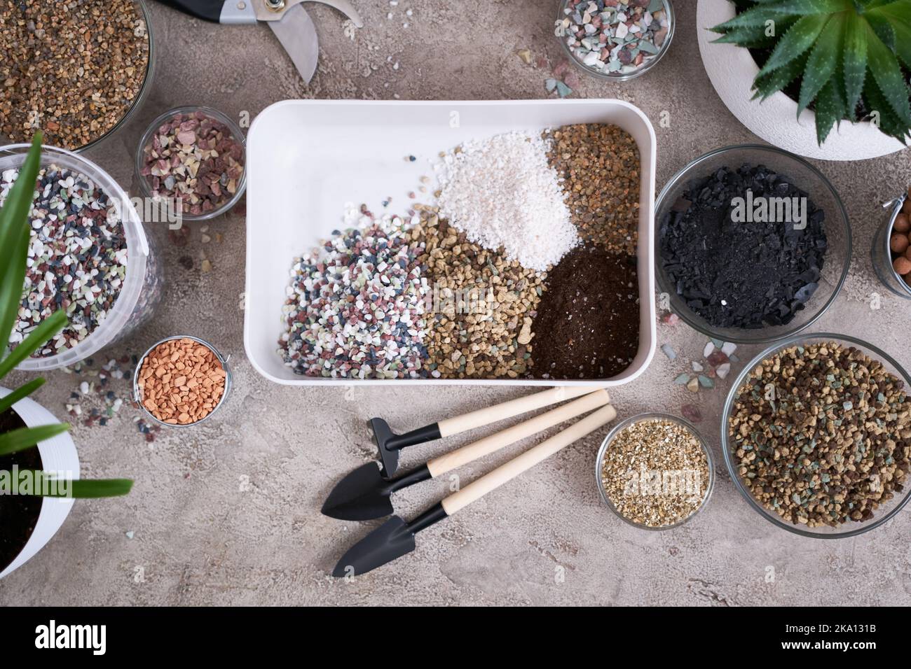 plastic box for soil substrate preparation for transplanting ...