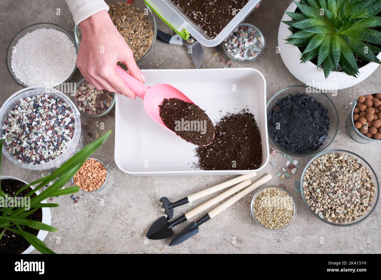 soil substrate preparation for transplanting houseplants on concrete ...