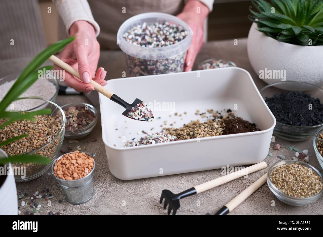 soil substrate preparation for transplanting houseplants on concrete ...