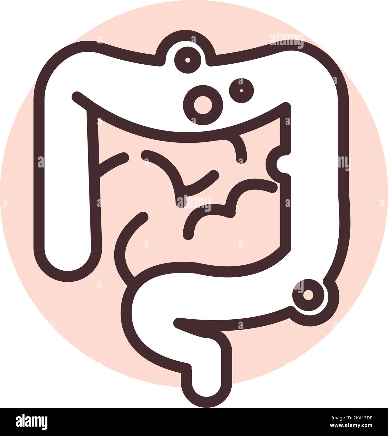 Medical intestins, illustration or icon, vector on white background ...