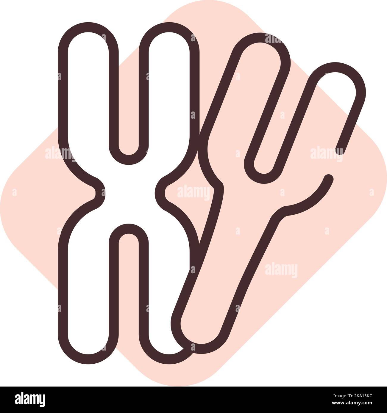 Chromosome Stock Vector Images - Alamy