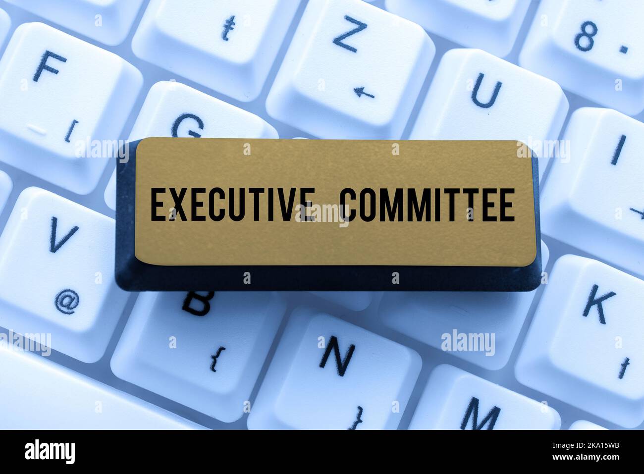 Text caption presenting Executive Committee. Business idea Add ...
