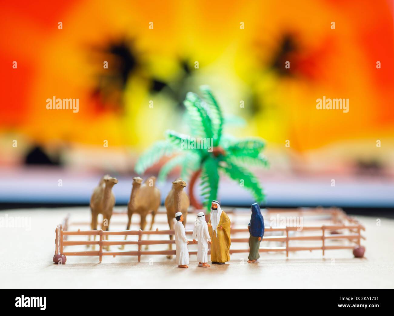 Miniature toy Arab man and wife in abaya buys camel and sheep from a ...