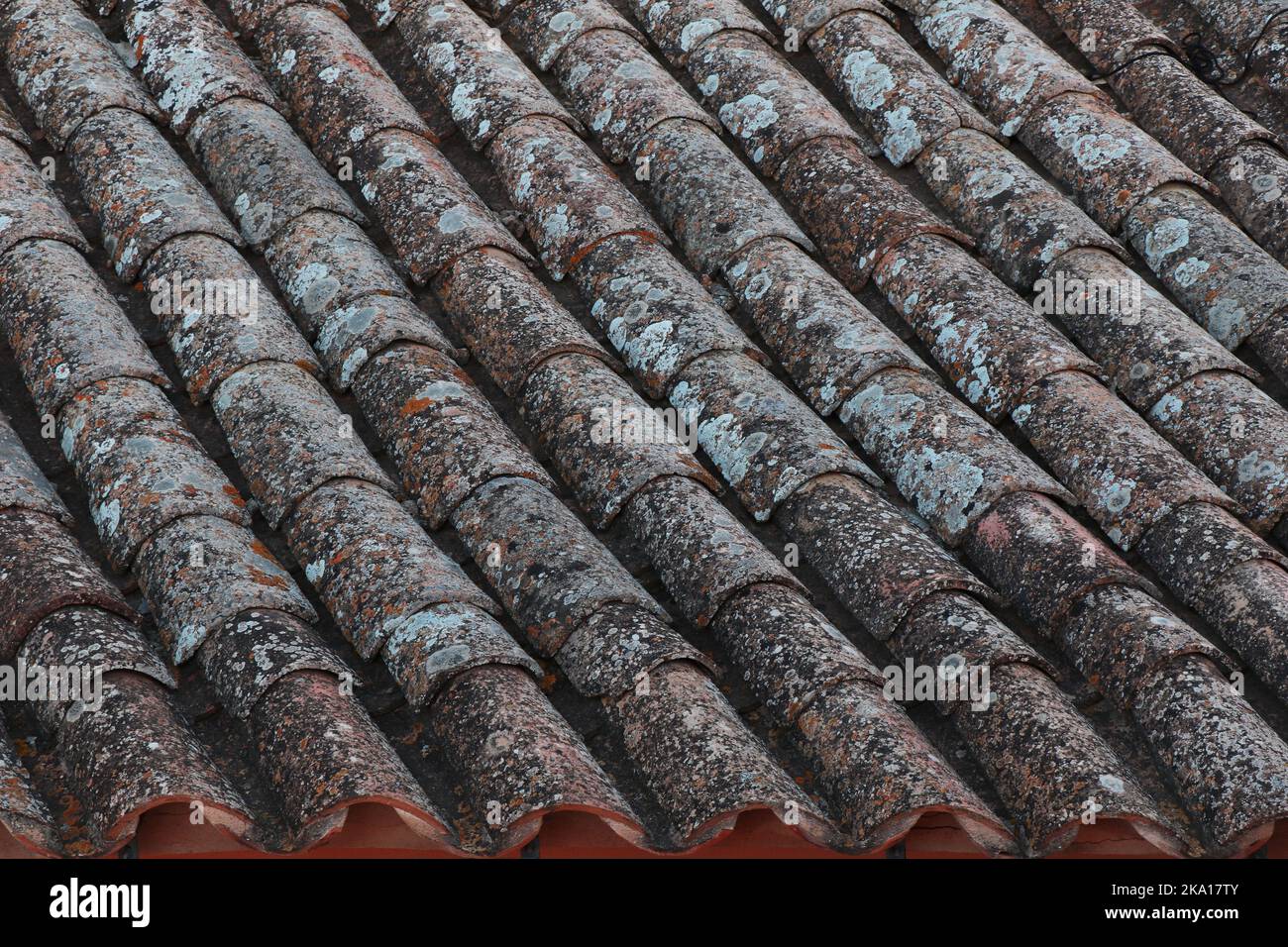 Roof tiles with lichens of an old traditional Spanish village house ...
