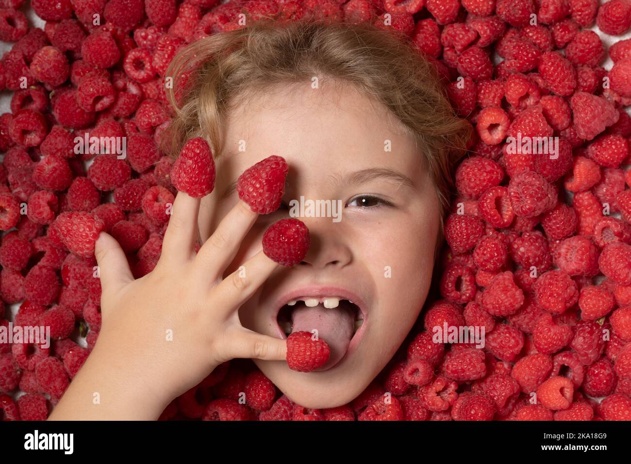 Happy little child face with raspberry. Child picking raspberry. Kids ...