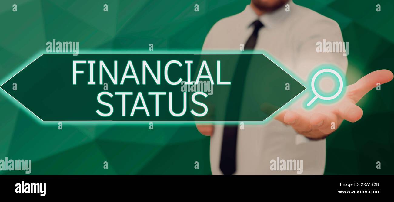 Handwriting text Financial Status. Conceptual photo system for dealing ...