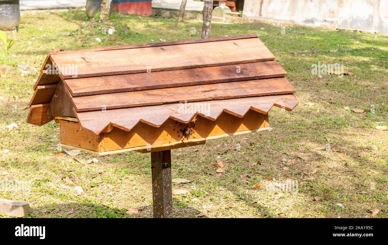 The wooden box used as the nest for stingless bee farming Stock Photo ...