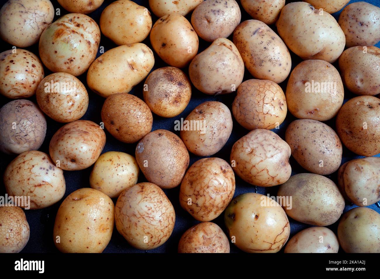 Potato isolated on dark background shown from top Stock Photo - Alamy