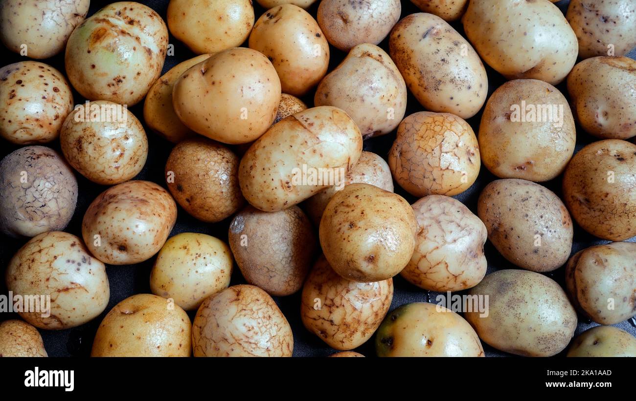 Potato isolated on dark background shown from top Stock Photo - Alamy