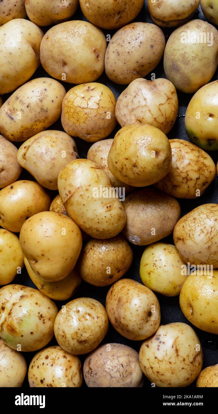 Potato isolated on dark background shown from top Stock Photo - Alamy