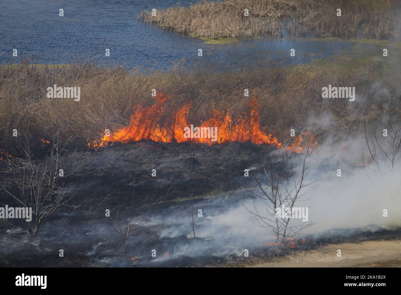 Bucharest, Romania - April 5, 2022: Wildfire of vegetation in the ...