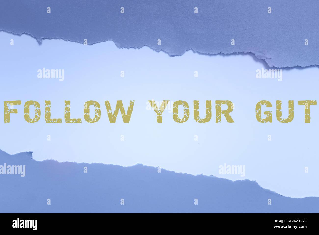 Text sign showing Follow Your Gut. Word Written on Listen to intuition ...