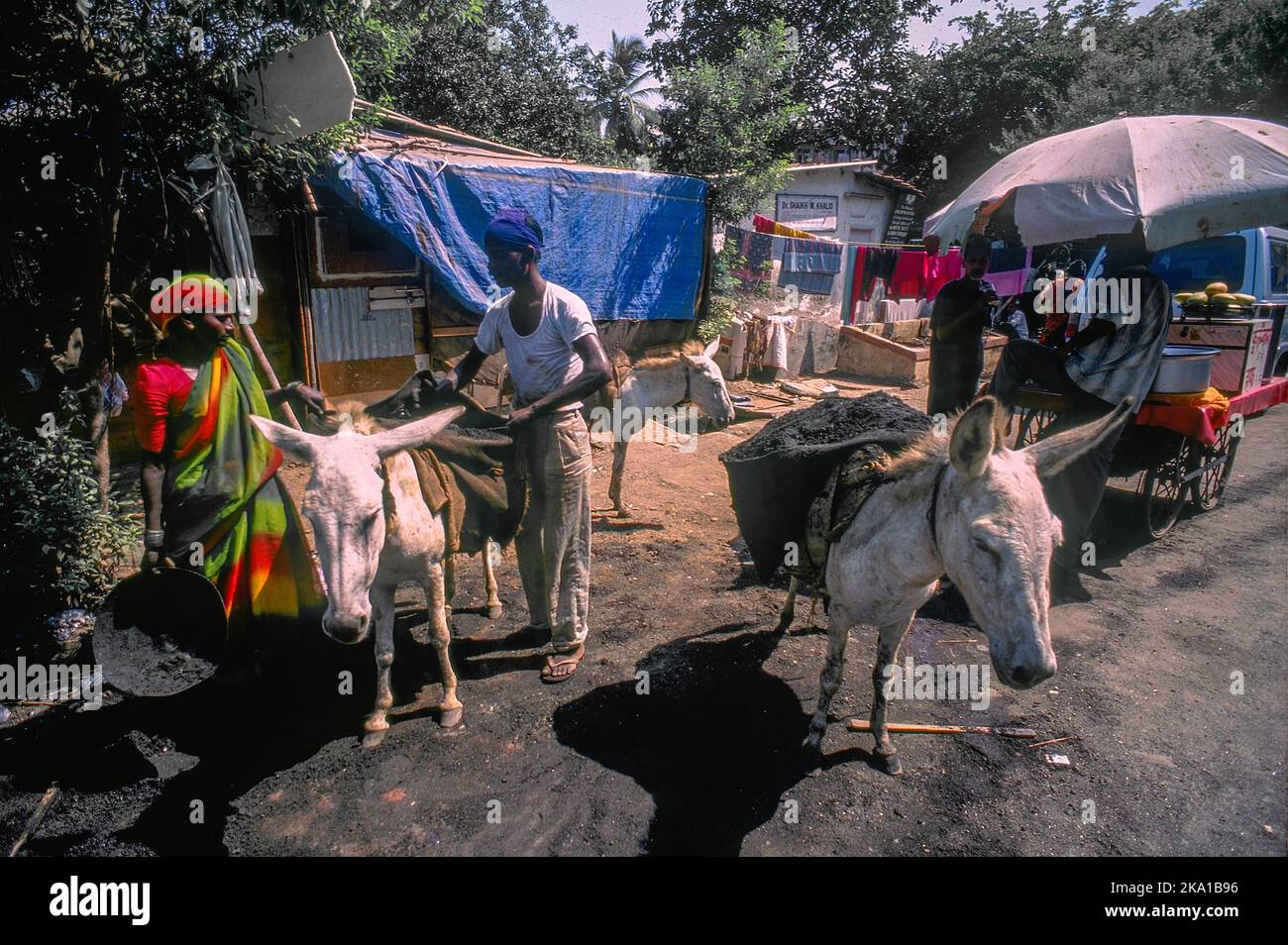 Old way of transport sand with the help of donkey Stock Photo - Alamy