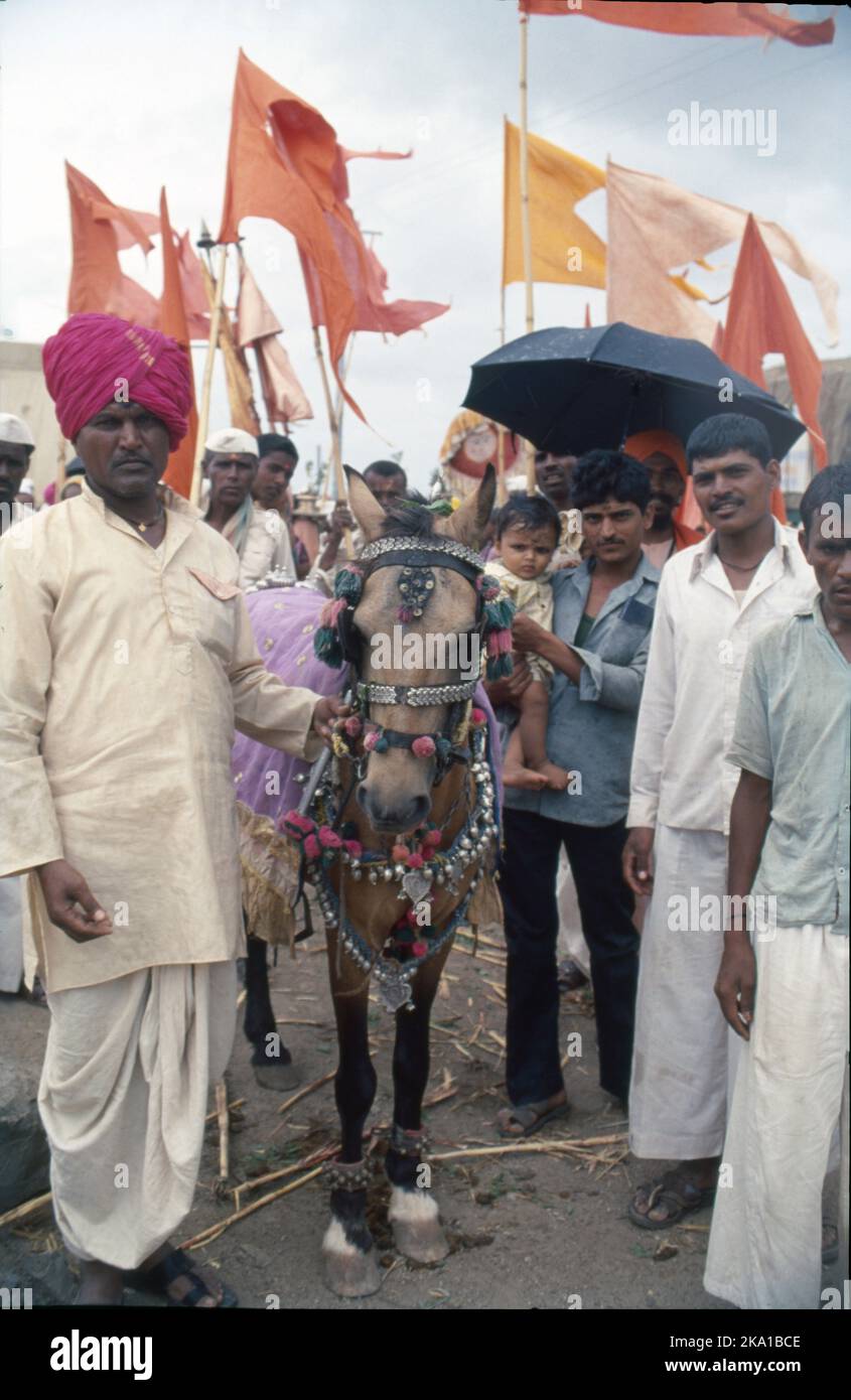 Dindi horse hi-res stock photography and images - Alamy