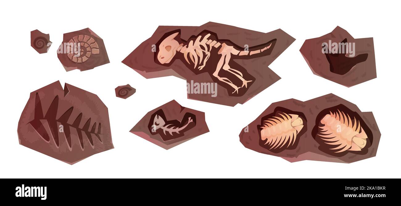 Cartoon archaeological fossil of dinosaurs skeletons, reptiles, sea ...