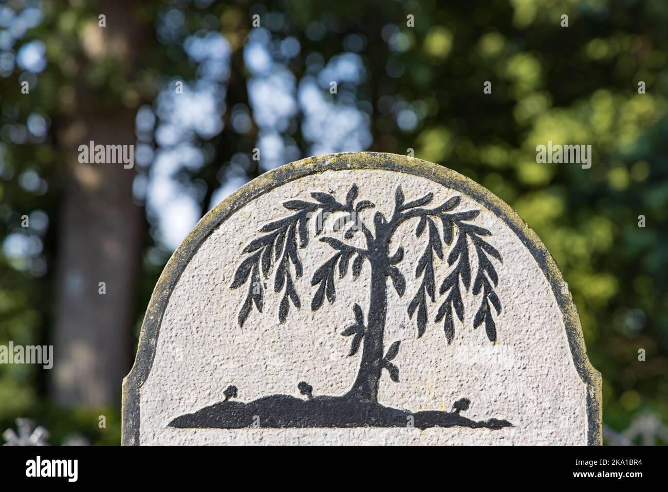 Gravestone weeping willow hi-res stock photography and images - Alamy