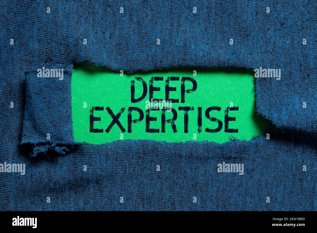 Inspiration showing sign Deep Expertise. Business idea A persuasive ...
