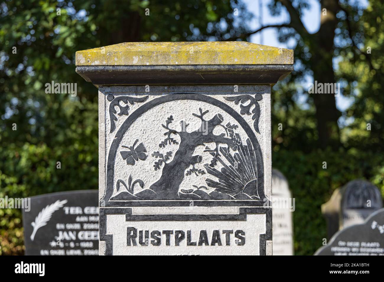 Marum, The Netherlands - September 2, 2022: Old grave with tree and ...