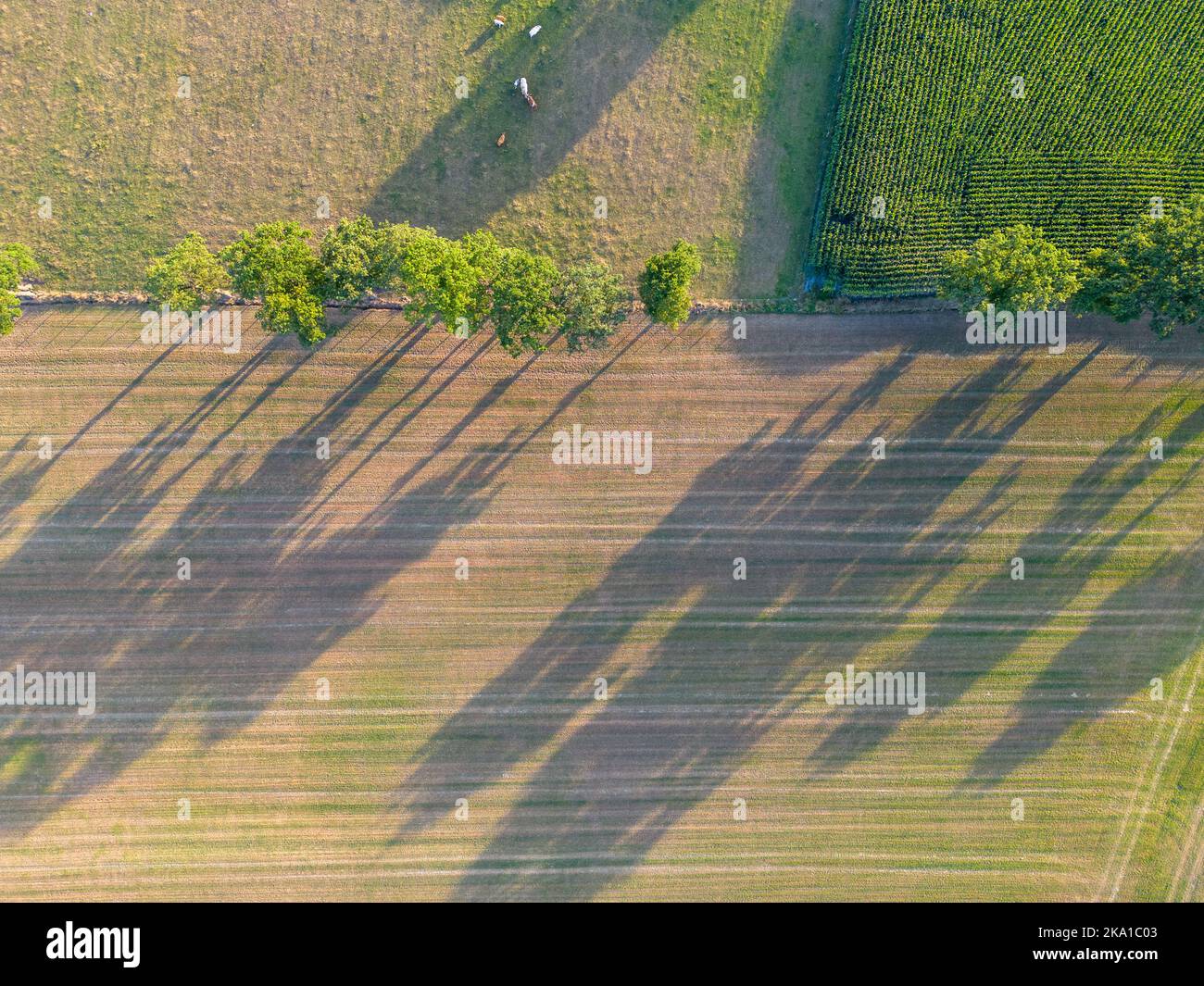 Subdivision building plot hi-res stock photography and images - Alamy