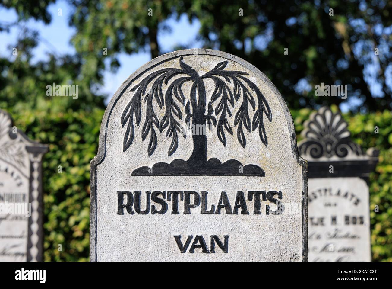 Marum, The Netherlands - September 2, 2022: Old grave with tree of life ...