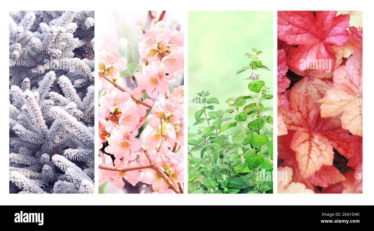 Four seasons of year. Set of vertical nature banners with winter ...