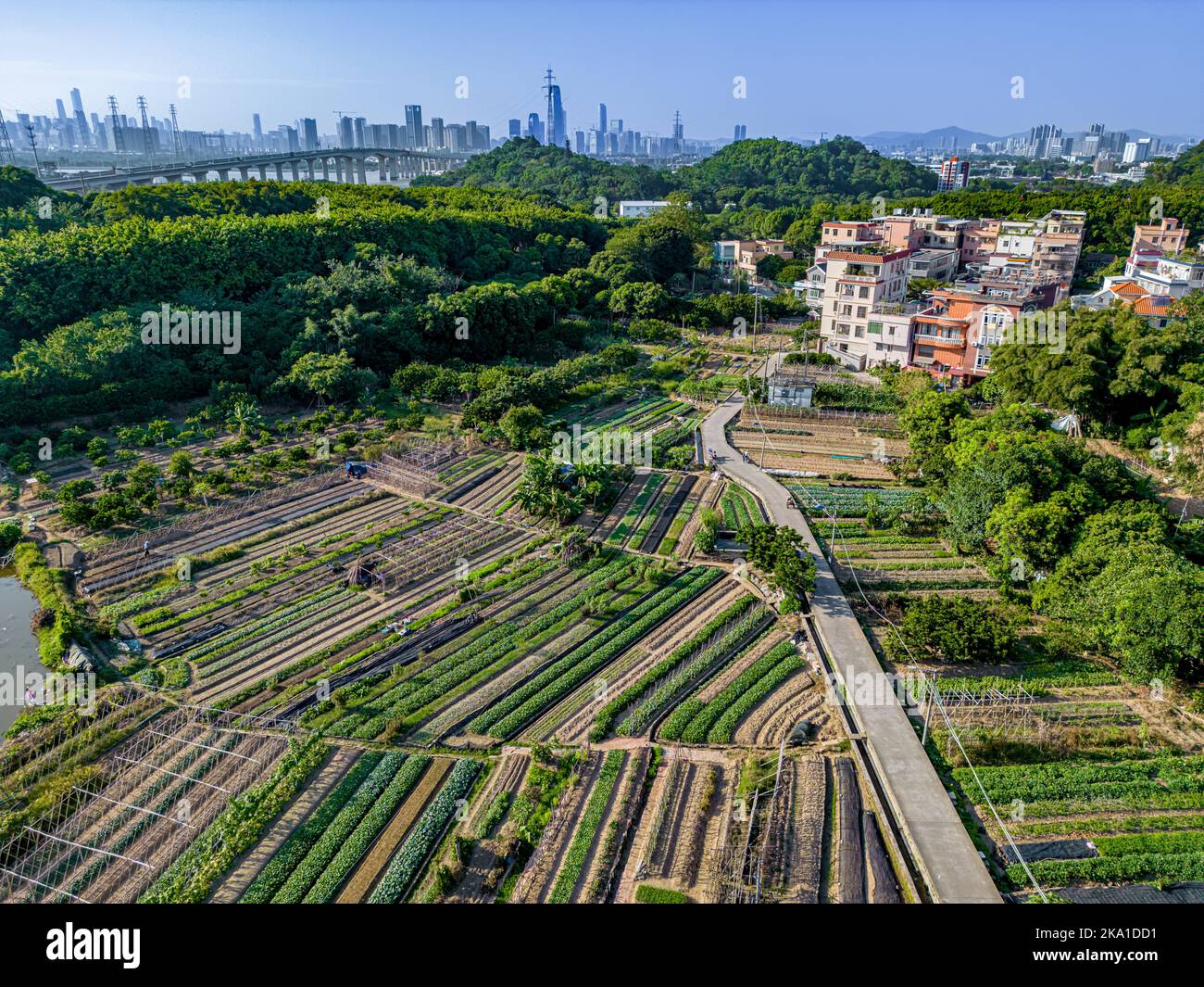 Aerial photos show the first batch of traditional villages of Guangdong ...