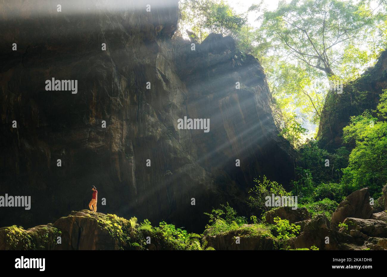 A forest is hidden in Karst Tiankeng in Hechi City, south China's ...