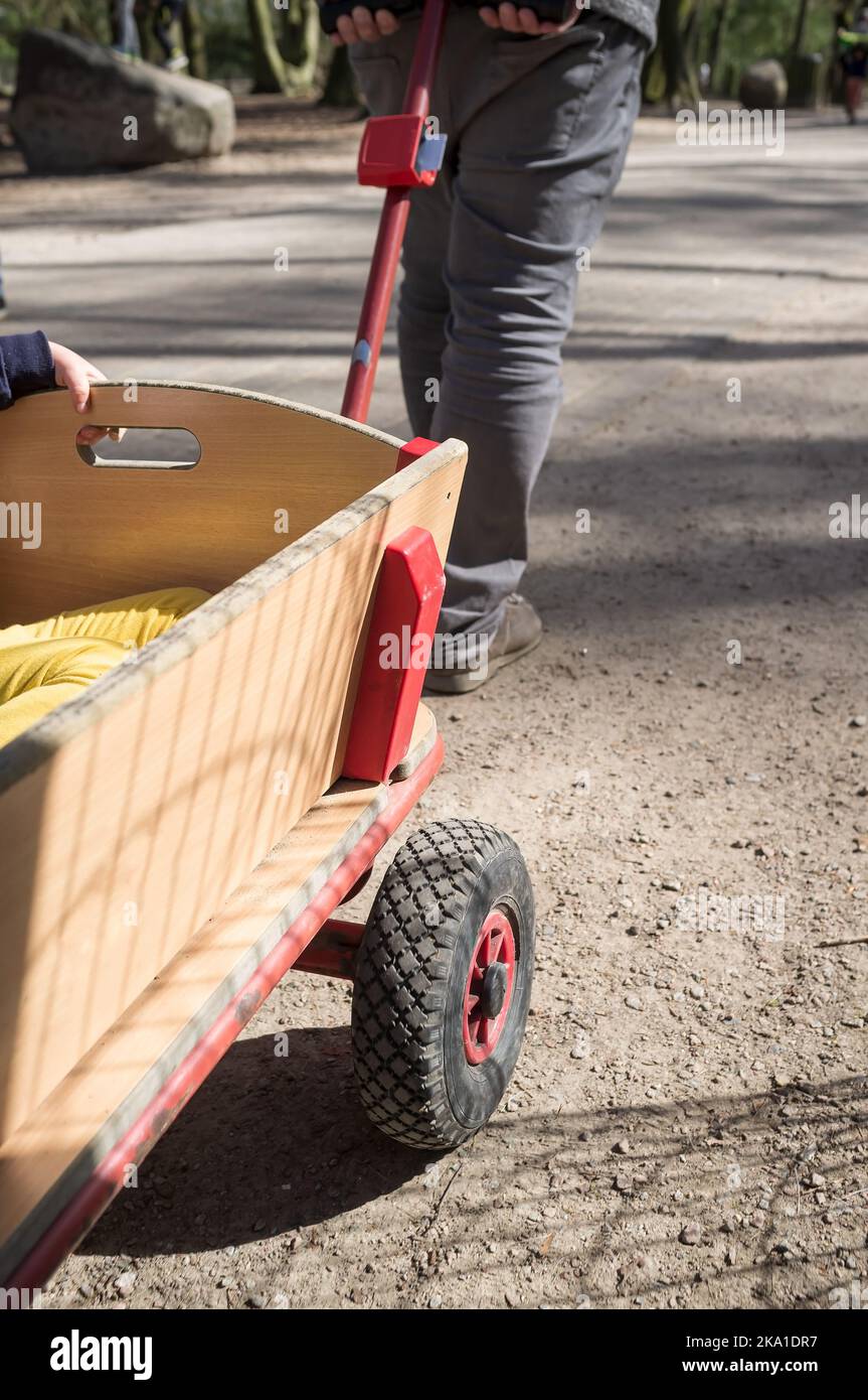 The father of the family is carrying a baby wagon for children with a ...