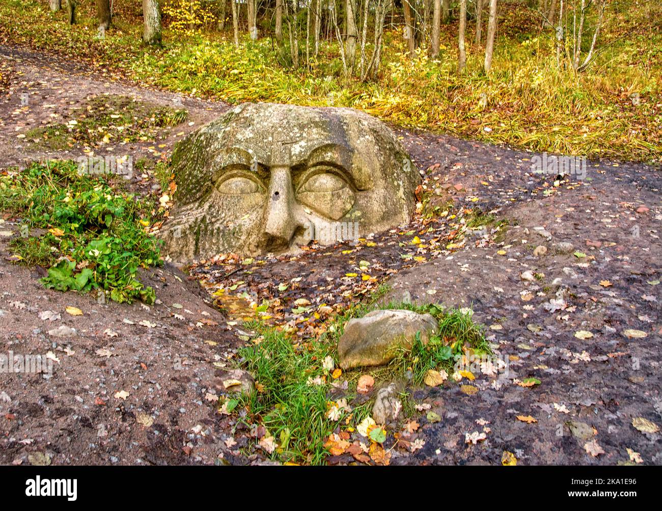 Head or Sculpture at the source. Sculpture by an unknown master, carved ...