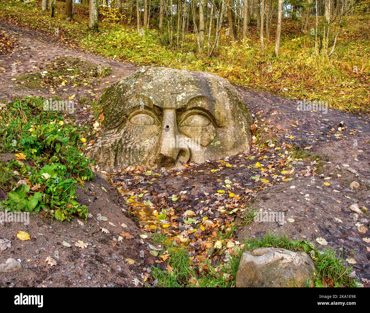 Head or Sculpture at the source. Sculpture by an unknown master, carved ...