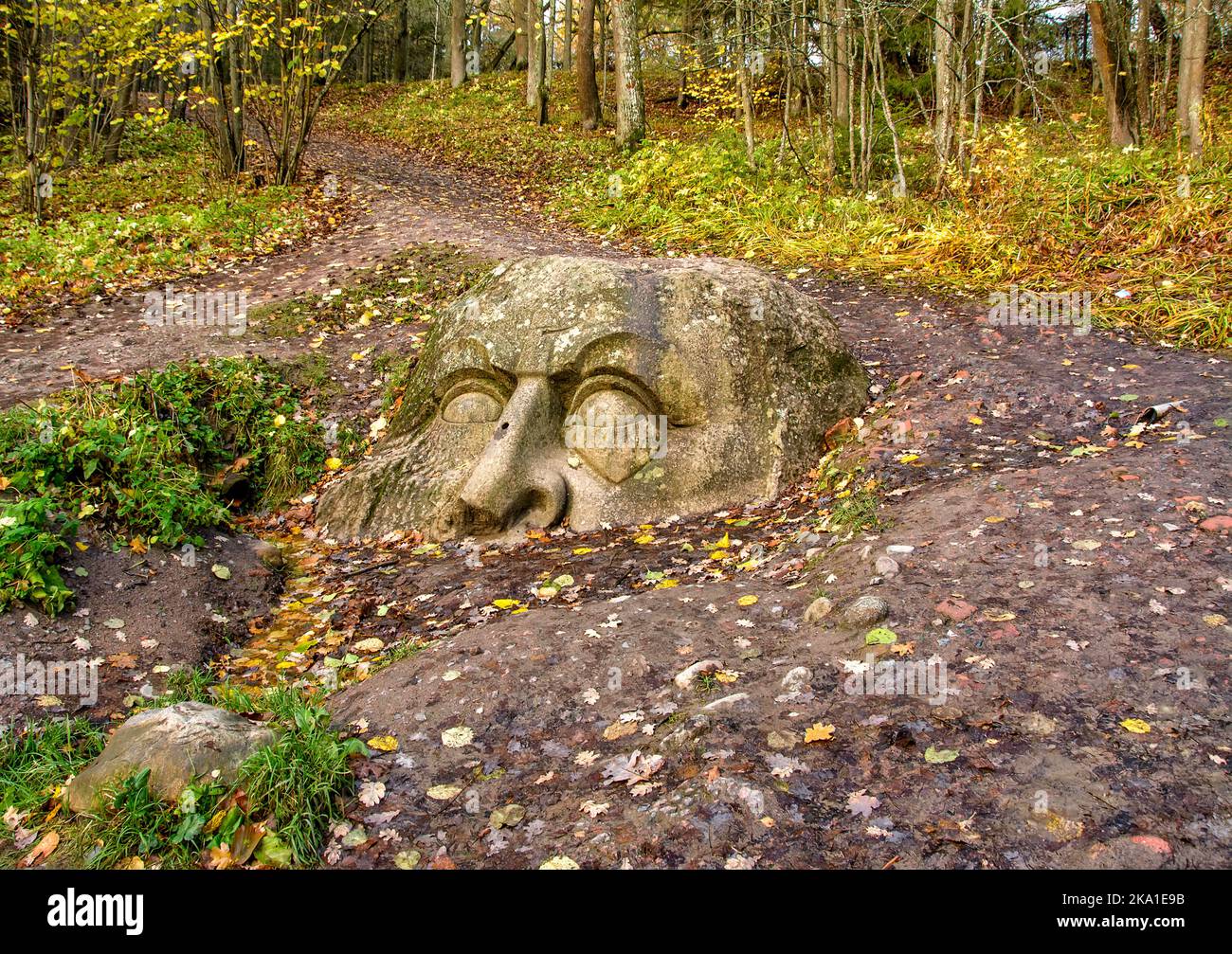 Head or Sculpture at the source. Sculpture by an unknown master, carved ...