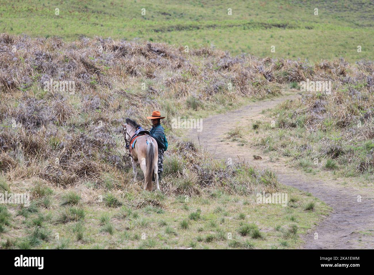 Tengger desert hi-res stock photography and images - Alamy